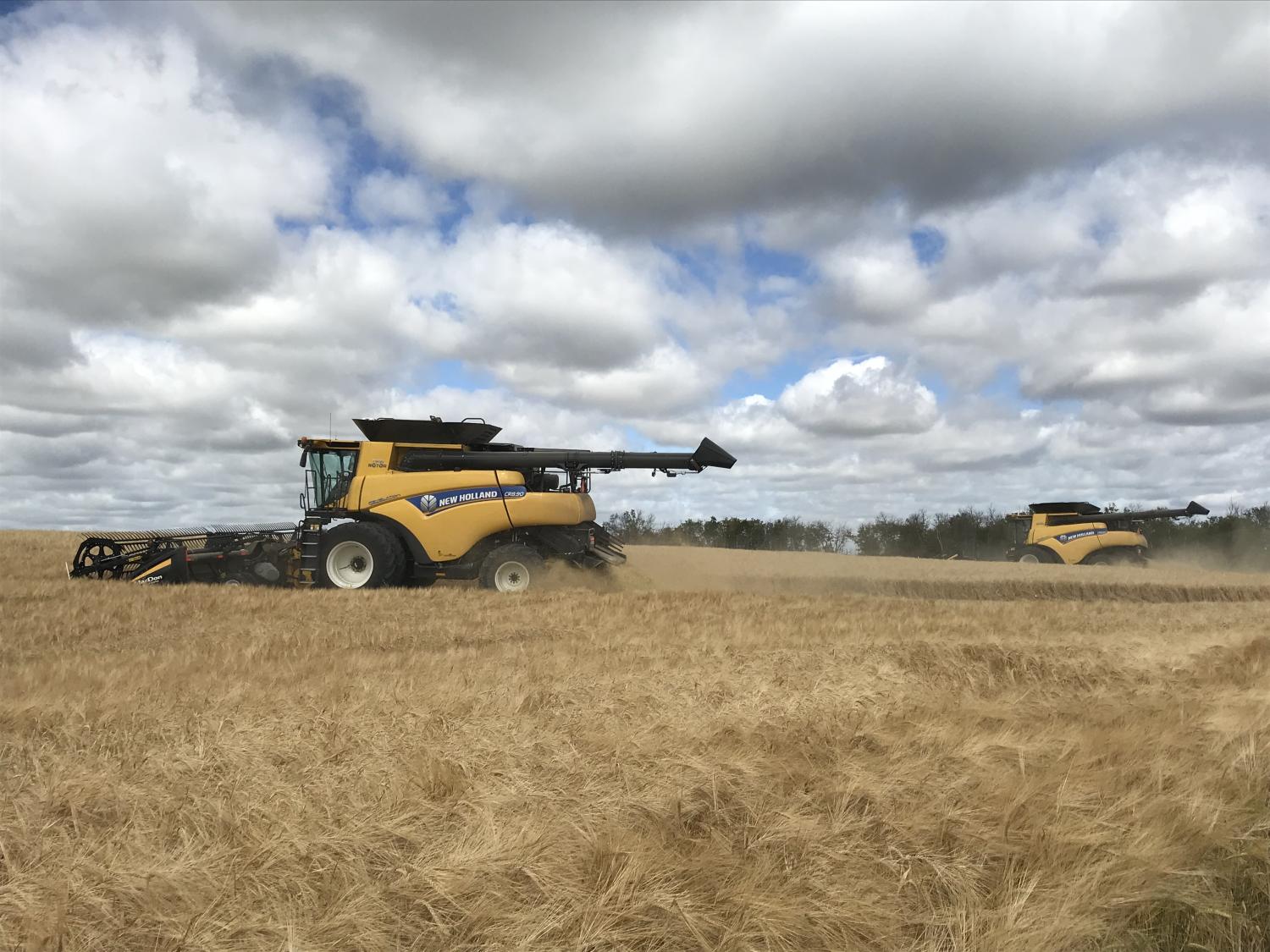 Gallery - Clearview Acres Ltd., Virden, MB | Pedigreed grain seed ...